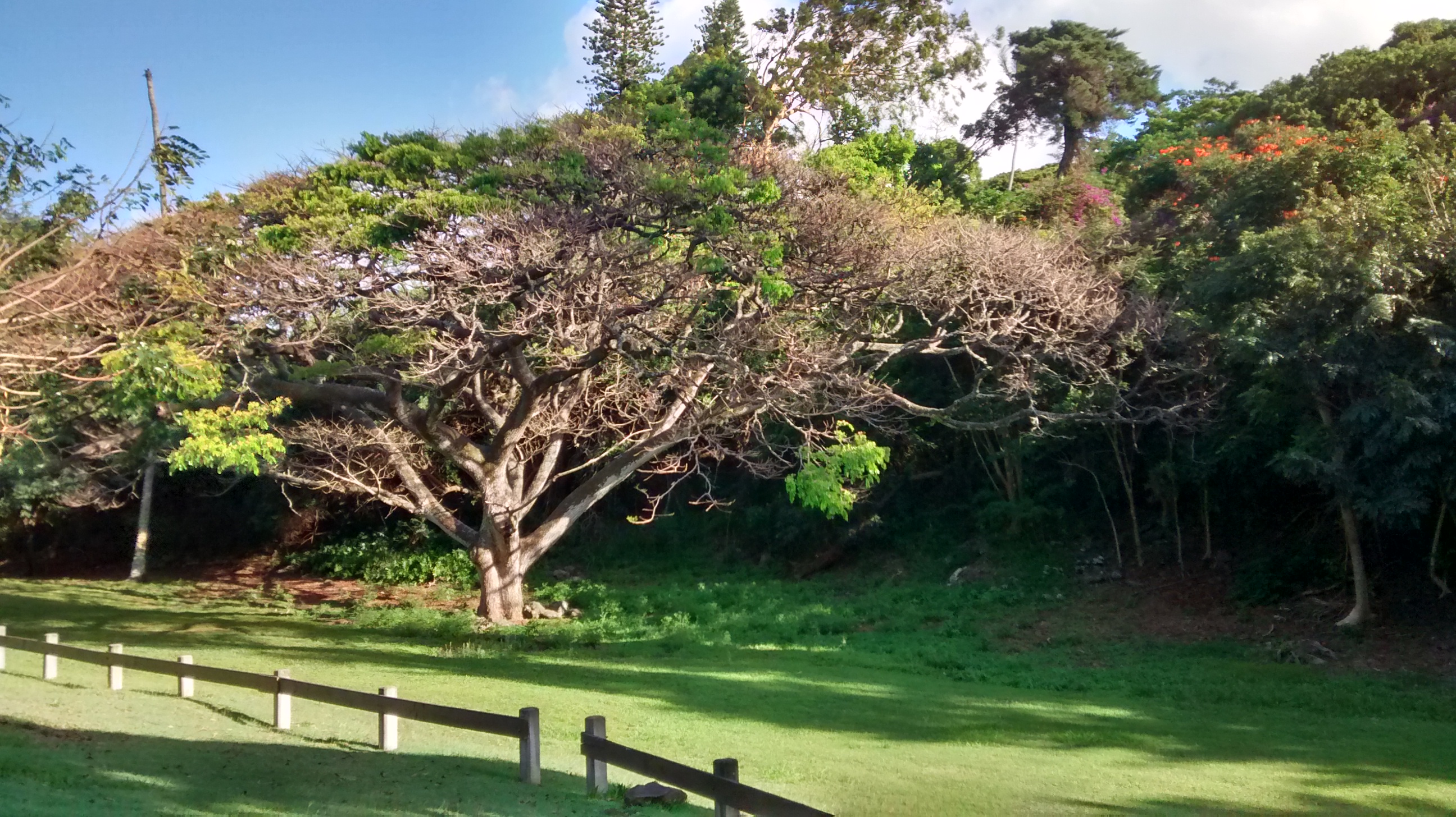I stand with the amazing Oregon Senator, Jeff Merkley